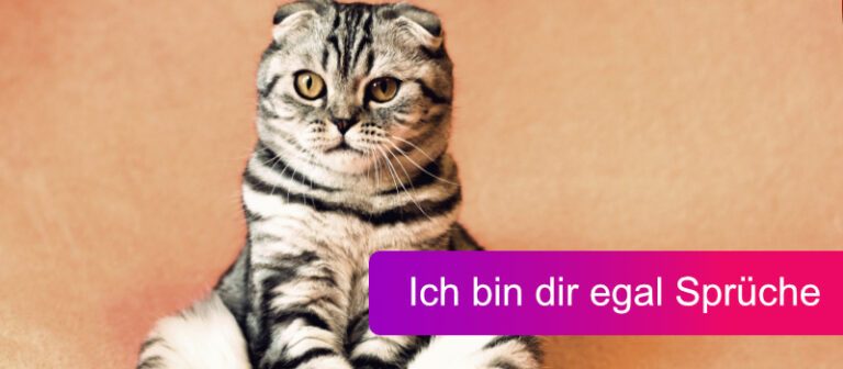 Verwunderlich Ich Bin Dir Egal Spruche Fotos
